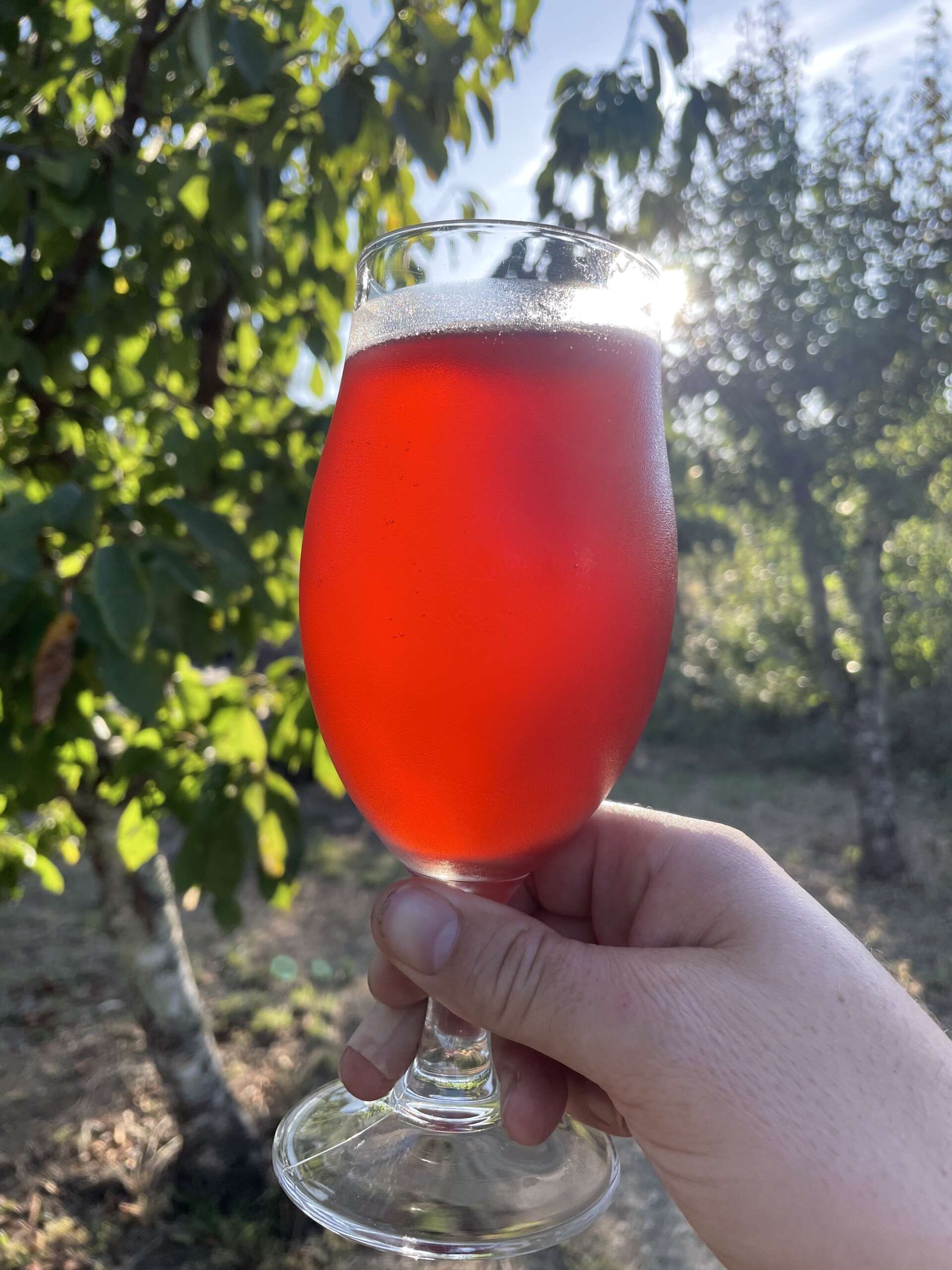 How To Make Blueberry Session Mead (Hydromel) – MAKE. DO. GROW.